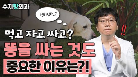 똥을 싸는 것도 중요한 이유 3분만 ㅣ수지항외과 Youtube
