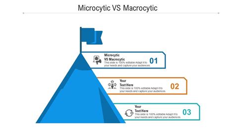 Microcytic Vs Macrocytic Ppt Powerpoint Presentation Professional