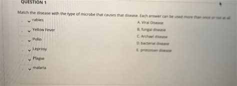 Solved Question 1 Match The Disease With The Type Of Microbe