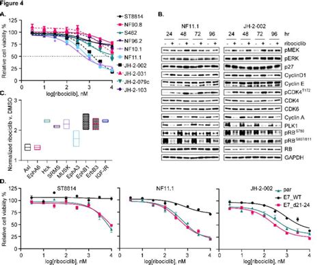 Responses Of Nf1 Mpnst Cells To The Cdk46i Ribociclib A Ten