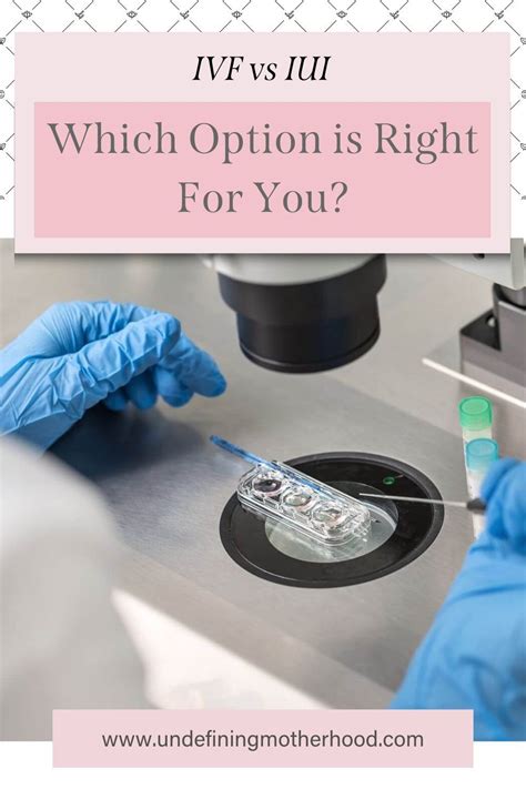 Difference Betweek Iui And Ivf Artofit