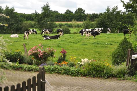 7th Grade Math Practice Eog