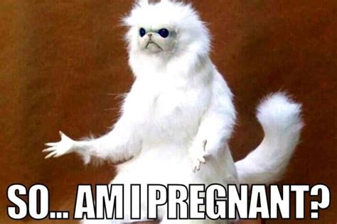 50 Hilarious Pregnancy Memes Any Mom To Be Needs To See