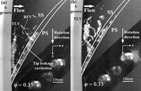 Sample Cavitation Images Visualizing Vortical Structures In The Tip
