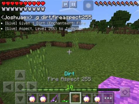 Weird Minecraft Amino