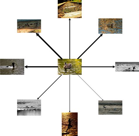 An Example Of An Image Qbe System The Query Image Is In The Middle