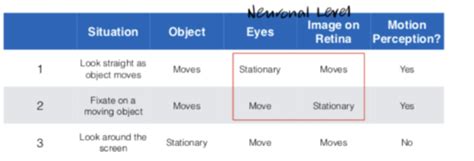 Ch 8 Visual Perception Flashcards Quizlet