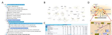 Reactome Web Results A Even Hierarch B View Port C Detail Panel Download Scientific