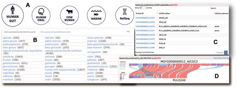 Screenshots Of Dbcan Seq Website A Choose From Five Databases In Download Scientific Diagram