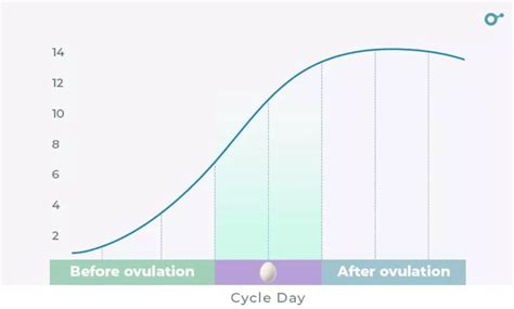 6 Benefits Of Progesterone How To Assess Your Levels Root Branch Nutrition