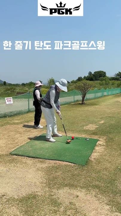 한줄기 탄도 파크골프스윙 파크퀸방화영 파크골프채 파크골프스윙 Pgk파크골프킹 Youtube