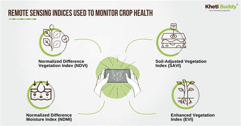 Revolutionizing Crop Management With Remote Sensing And Gis