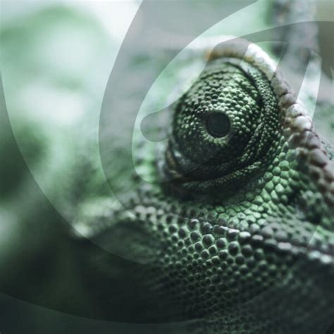 ¿un Ejemplo De Malware Para Linux Muylinux