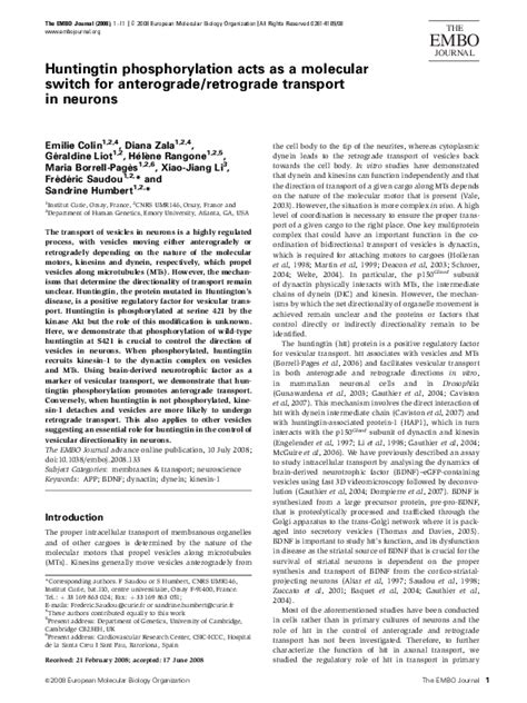 Pdf Huntingtin Phosphorylation Acts As A Molecular Switch For