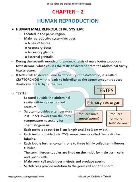 Class 12 Biology Ch 2 Notes Pdf Menstrual Cycle Testicle