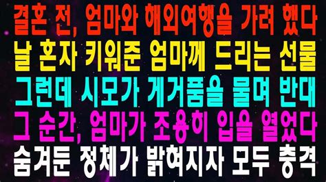 결혼 전 엄마와 해외여행을 가려 했다 날 혼자 키워준 엄마께 드리는 선물 그런데 시모가 게거품을 물며 반대 그 순간 엄마가 조용히 입을 열었다 숨겨둔 정체가 밝혀지자
