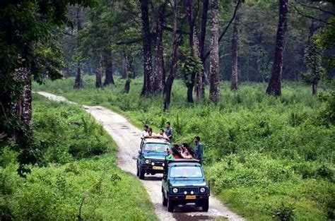 Thrilling Top 10 Dooars Places To Explore Natures Beauty