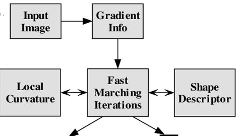 Coarse Segmentation Results 42 Fine Segmentation And Recognition