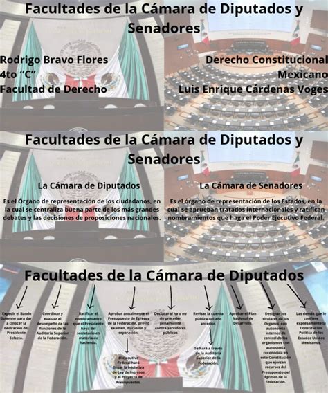Facultades De La Cámara De Diputados Y Senadores Pdf Federación