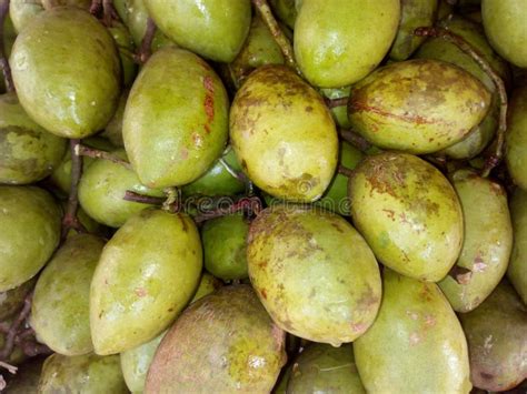 Olivebig Size Stock Image Image Of Size Olivebig Olive 133446417