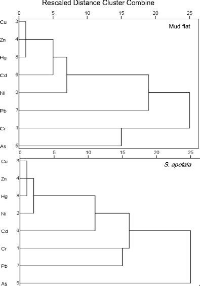 Hierarchical Clustering Analysis Of The Heavy Metals In Mudflat White