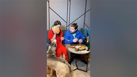 В семье все должно быть поровну юмор прикол семья отношения Youtube