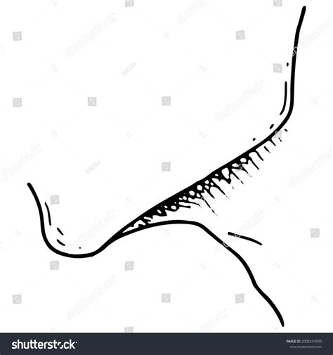 Hand Drawn Human Chin Illustration Doodle Stock Vector Royalty Free Shutterstock