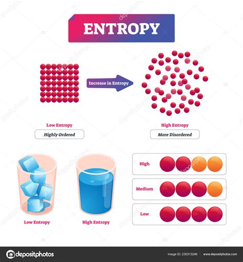 Entropy Vector Illustration Diagram With Potential Measurement Of
