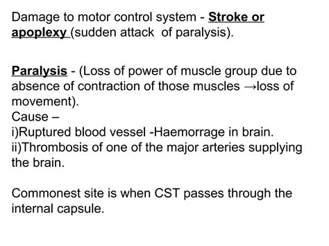 Pyramidal Tract By Sunitamtiwaleprof Dept Of Physiologydypatil Medical College Kolhapur