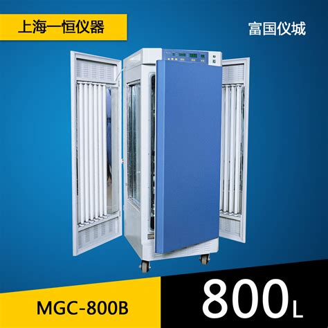 Mgc B