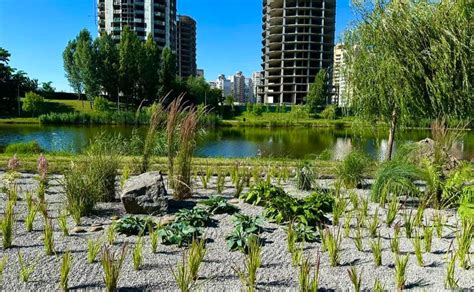 У Деснянському районі створили дощовий садок Вечірній Київ