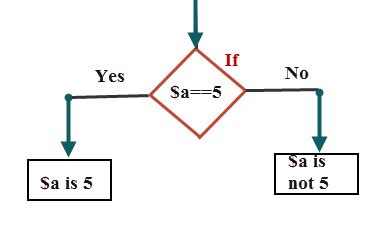 Perl Tutorial Variable Array Hashes With Programming Example