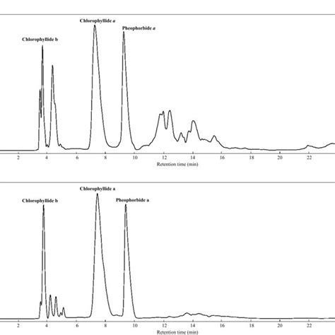 The Uplc Q Tof Ms Data Of A Crude Chlorophyllides And B Purified Download Scientific