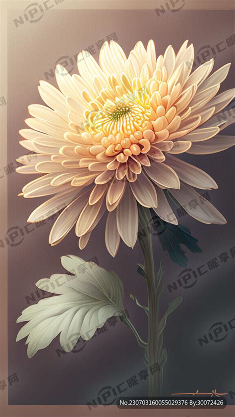 Ai创作图菊花 昵图网