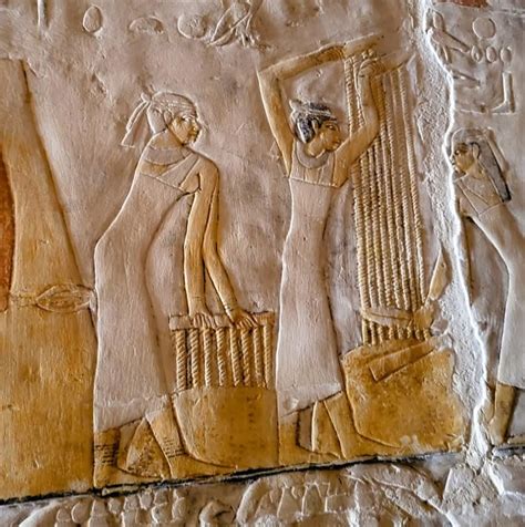 토탈 고대 이집트 여성들이 곡물을 찧는 모습을 통해 역사상 가장 놀라운 문명을 지탱한 일상적인 농업 관습에 대한 통찰력을 엿볼 수 있습니다 고대 이집트에서 농업은