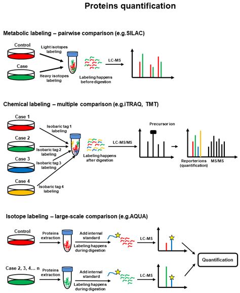 Proteomics Based Identification Of Dysregulated Proteins In Breast Cancer