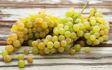 ყურძნის 5 სასარგებლო თვისება ჯანმრთელობისა და ფიგურისათვის სასარგებლო რჩევები