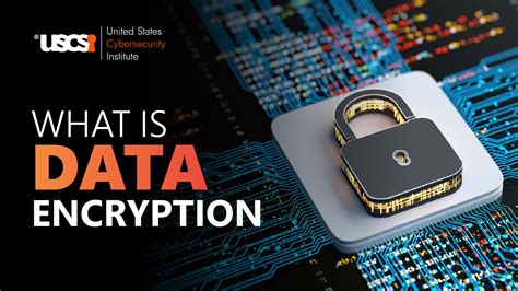 importance of data encryptions for organizations