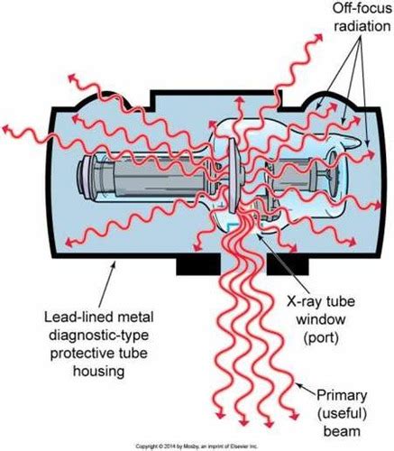 RAD Chapter Equipment Design For Radiation Protection Flashcards Quizlet