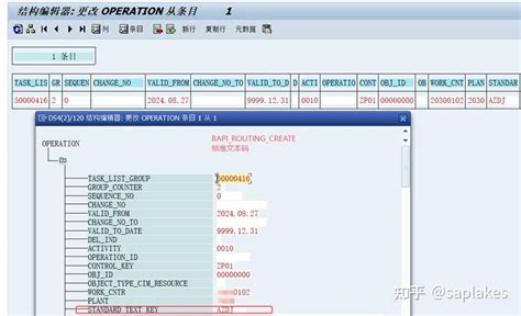 SAP工艺路线的标准文本码是什么怎么设置工序的必输项 知乎