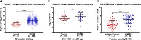 The Expression Analysis Of HPRT MRNA The Comparison Of MRNA Download Scientific Diagram