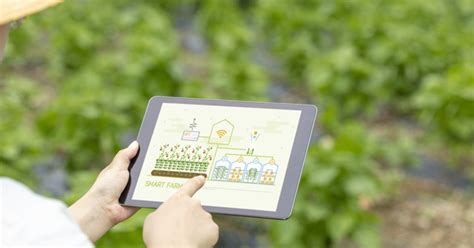 미래농업 핵심 기술 ‘수직농장 확대 속도스마트농업 30 시대 연다