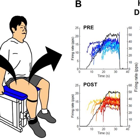 Experimental Set Up For Ultrasound Imaging And High Density Download Scientific Diagram