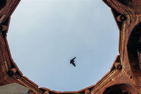 超过 60000 张关于“aidc Technologies India”和“印度”的免费图片 Pixabay