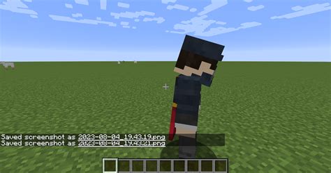 Minecraft 1122 Hands Look Work Not Correct · Issue 10 · Zergatul