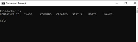 Introduction To Docker Intersystems Developer Community Dockeropen