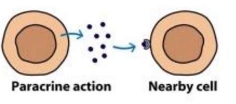 Alterations In Endocrine Function Flashcards Quizlet