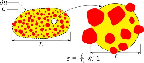 Homogenization Of Transport In Porous Media Yohan Davit