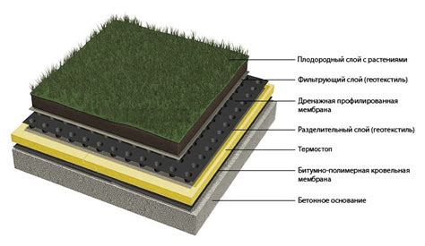 Эксплуатируемая кровля и устройство конструкции крыши