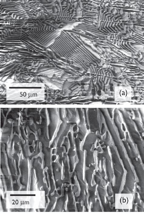 Figure 1 From Solidification And Microstructures Of Binary Ice I Hydrate Eutectic Aggregates
